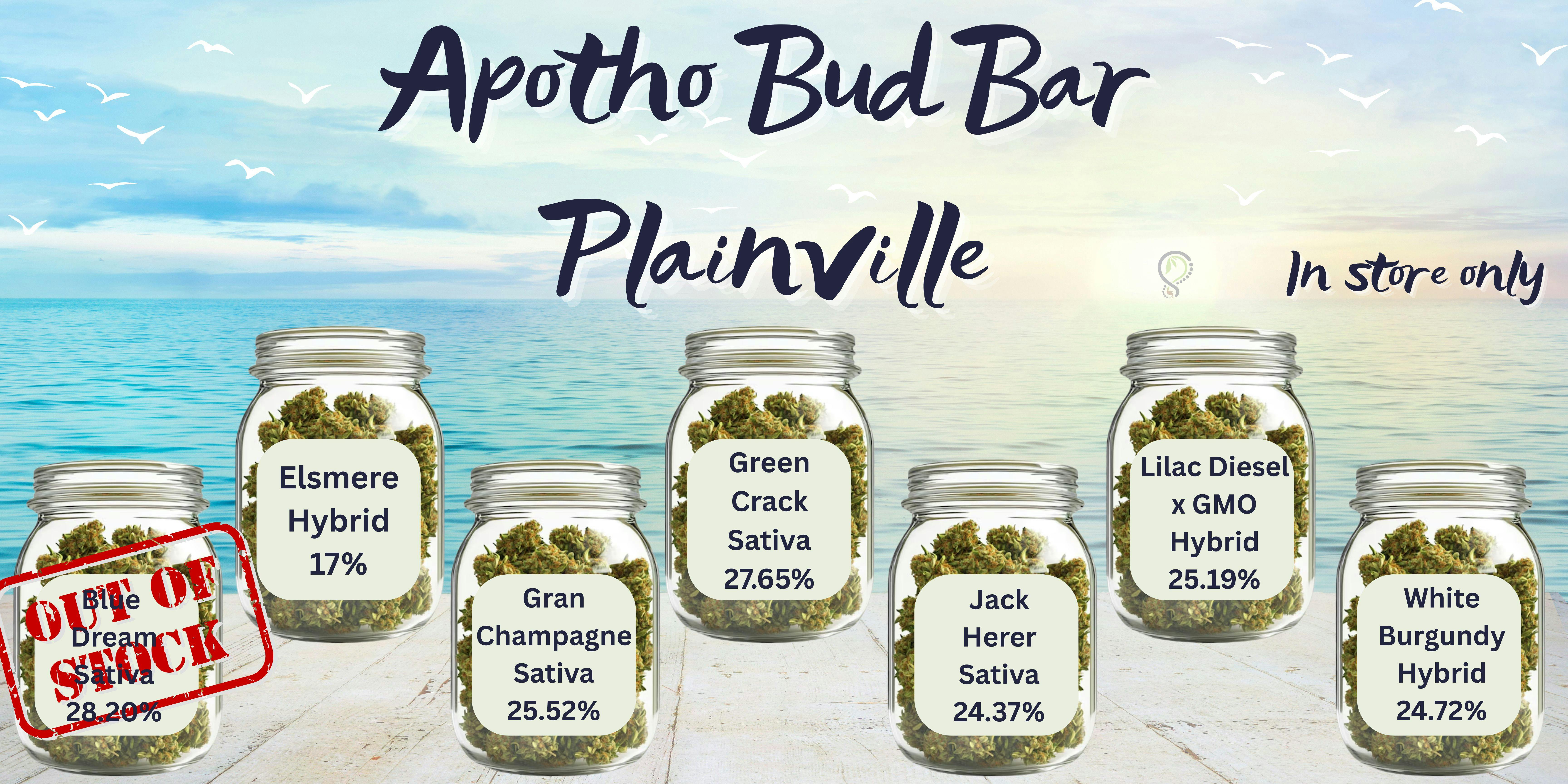 Apotho Therapeutics - Plainville (Rec) | 119 Washington Street ...