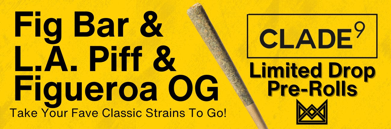 Queen City Dispensary (Rec) | 1353 South Avenue Plainfield, NJ 07062