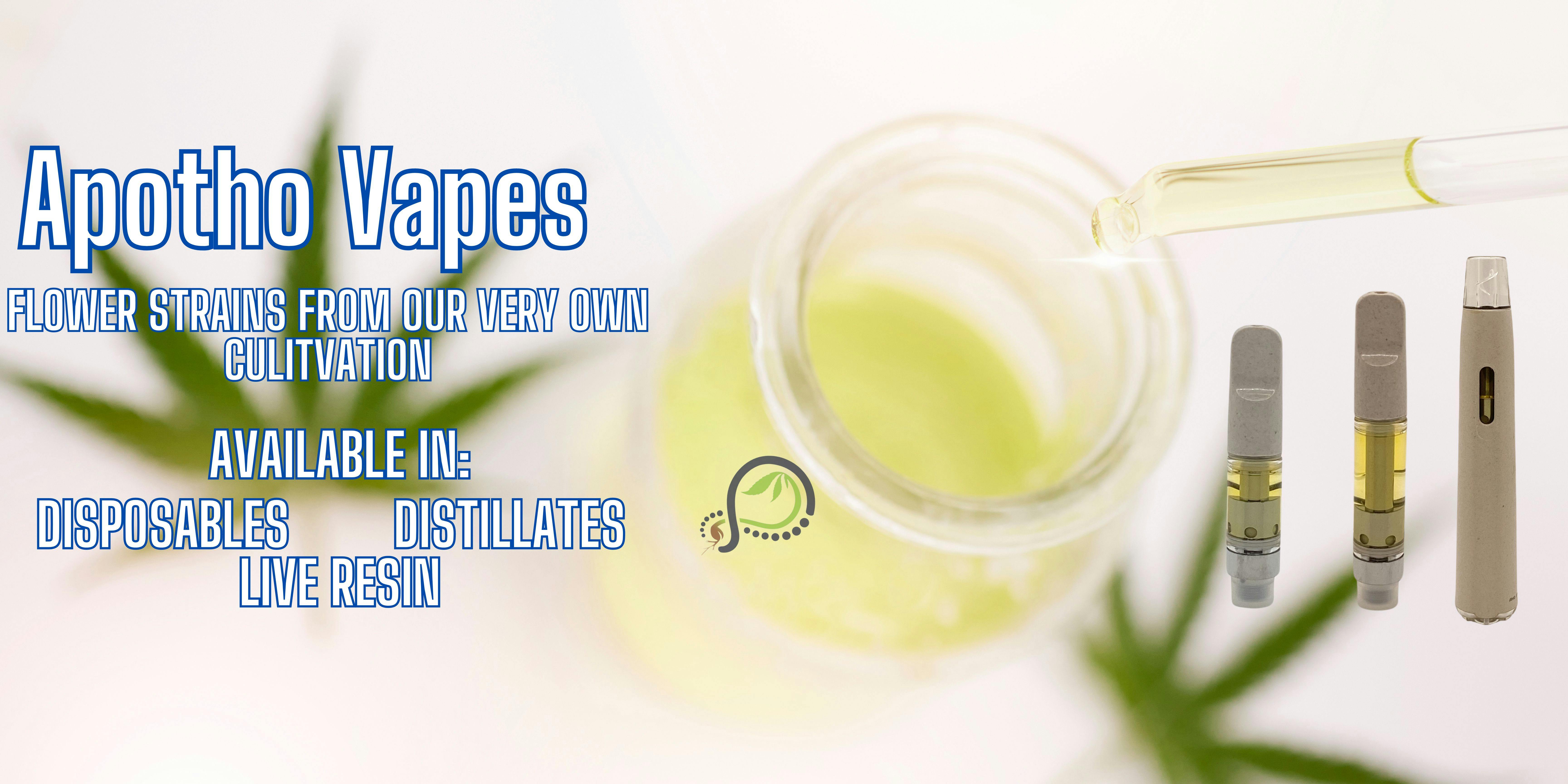 Apotho Therapeutics - Plainville (Rec) | 119 Washington Street ...