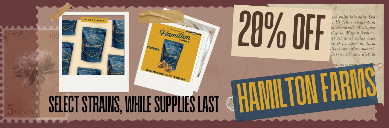 Dank Poet Dispensary LLC (Rec) | 245 East Washington Avenue Washington ...