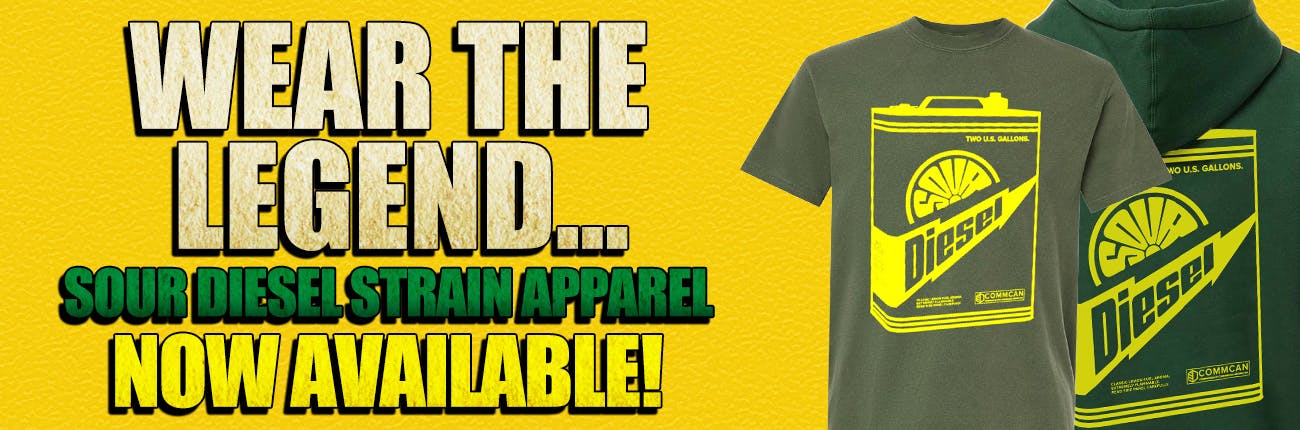 CommCan Millis (Rec) | 1525 Main Street Millis, MA 02054