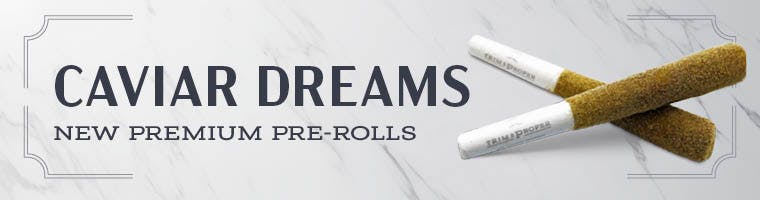 Pre Rolls | Verona Collective Dispensary | 10 East State Street ...